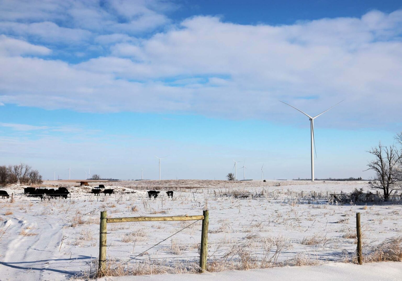 Prevailing Wind Park - Olsen Beal