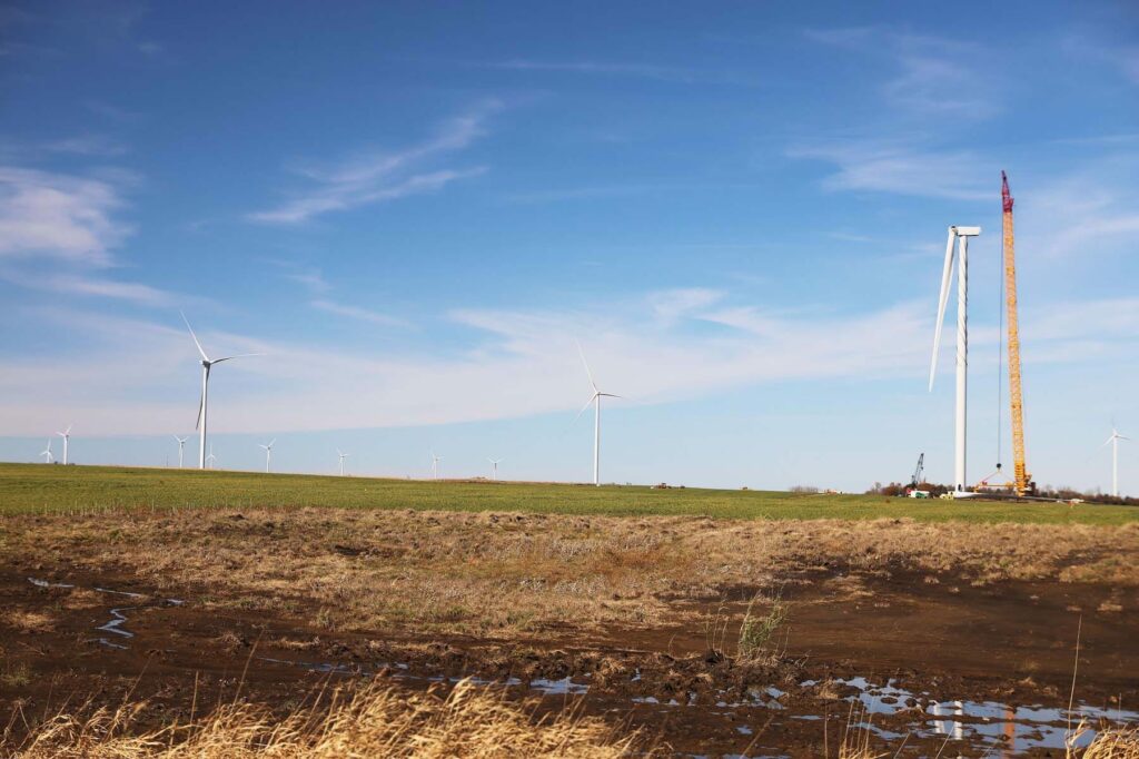 Prevailing Wind Park - Olsen Beal